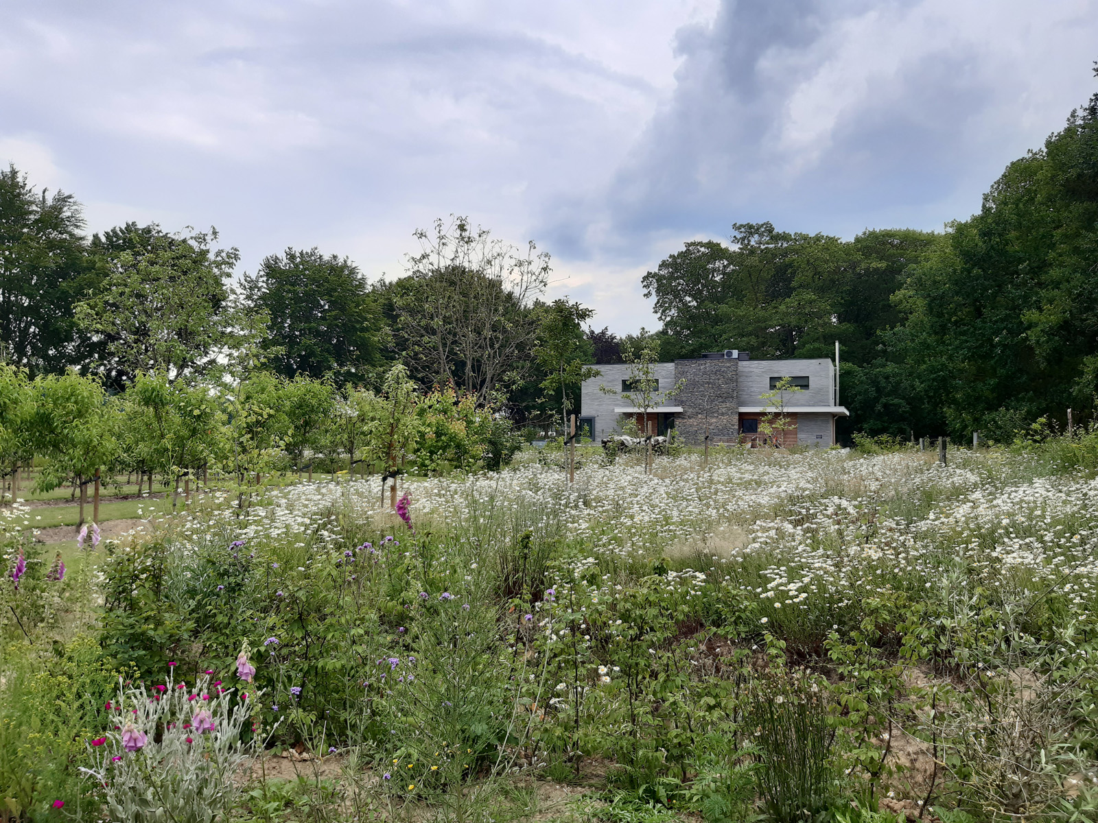 Projecten – Wilna Kuipers Tuinwerk