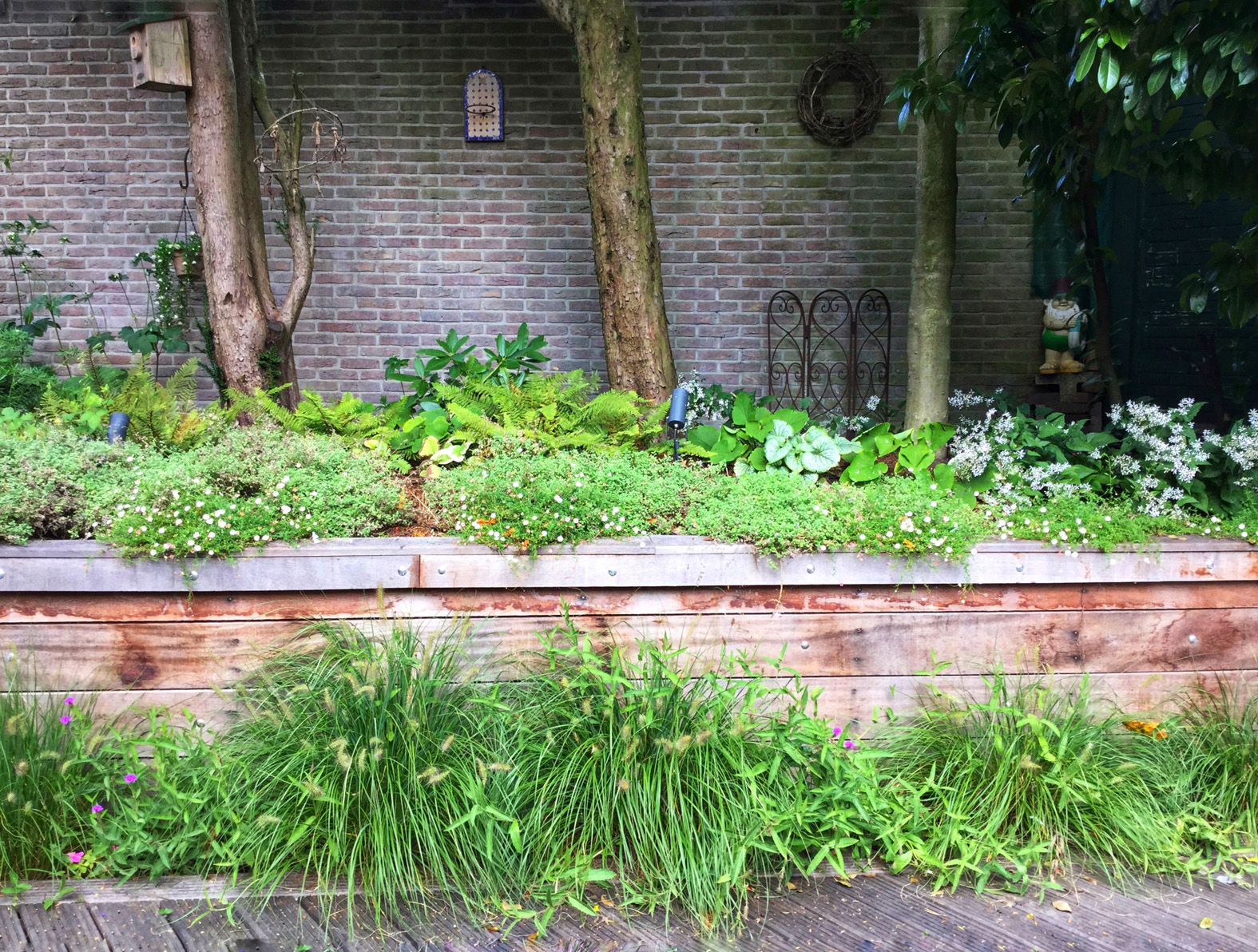 Nieuwe tuin bij ouderlijk huis – Wilna Kuipers Tuinwerk