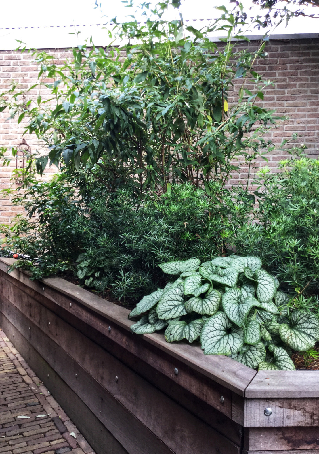 Nieuwe tuin bij ouderlijk huis – Wilna Kuipers Tuinwerk