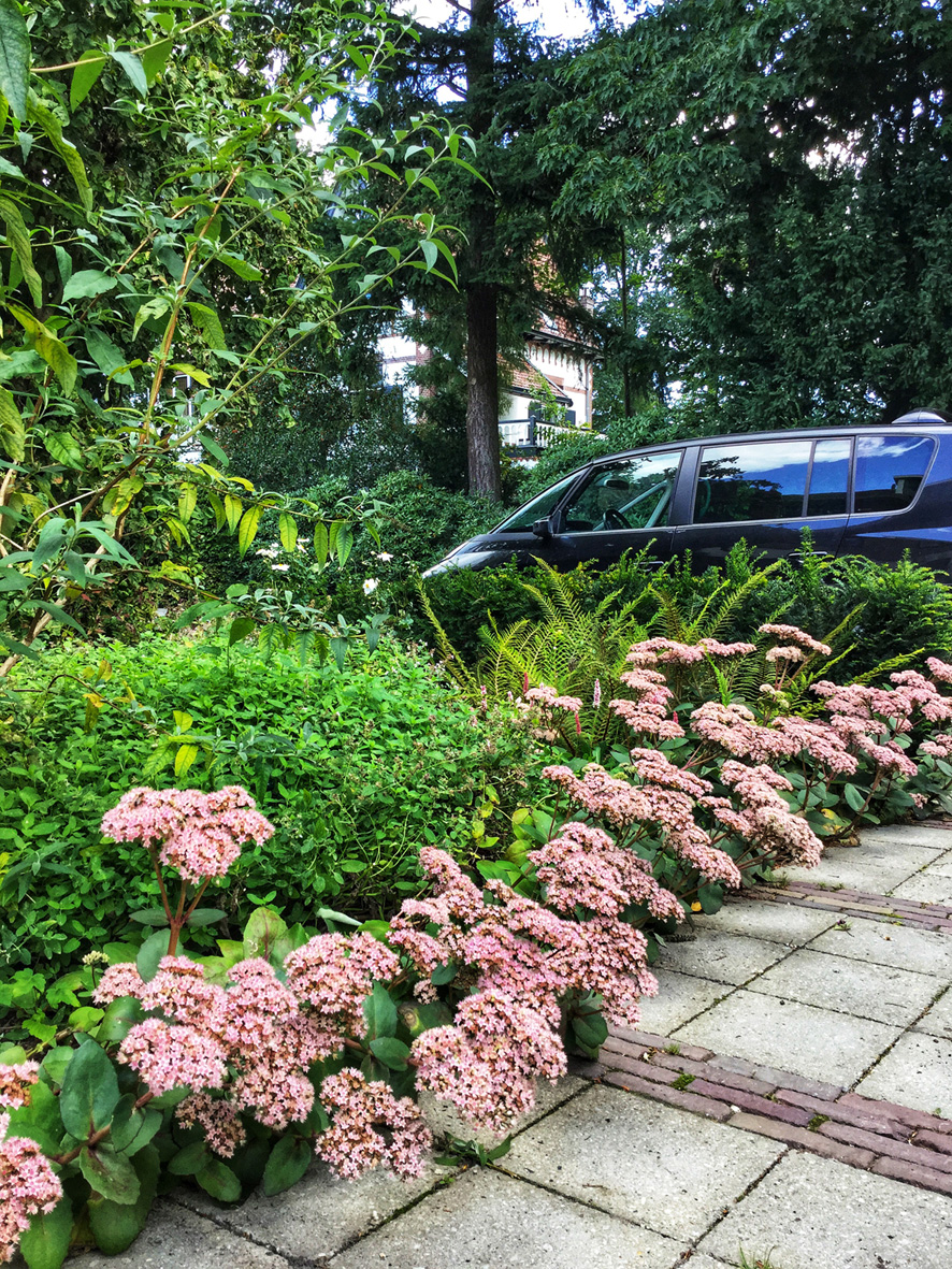 Nieuwe tuin bij ouderlijk huis – Wilna Kuipers Tuinwerk